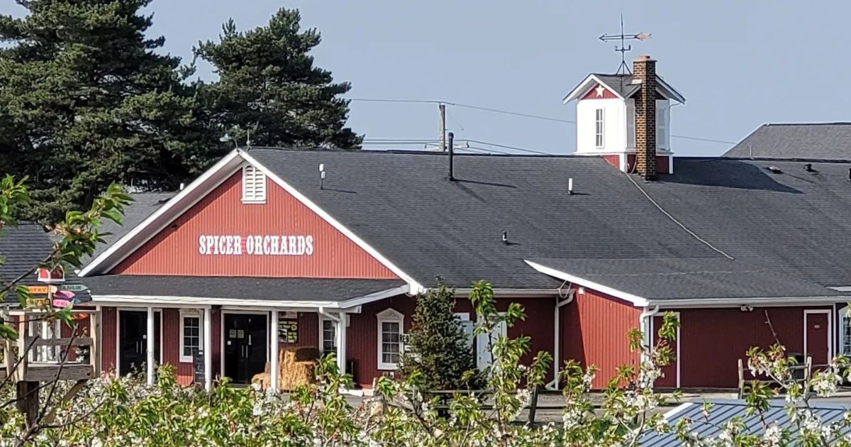 Best Apple Orchards: Apple Picking In Michigan