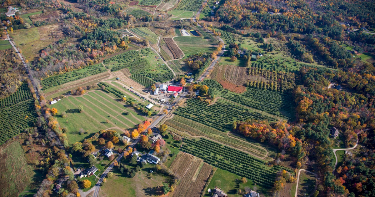 These Are The Best Orchards For Apple Picking In New Hampshire