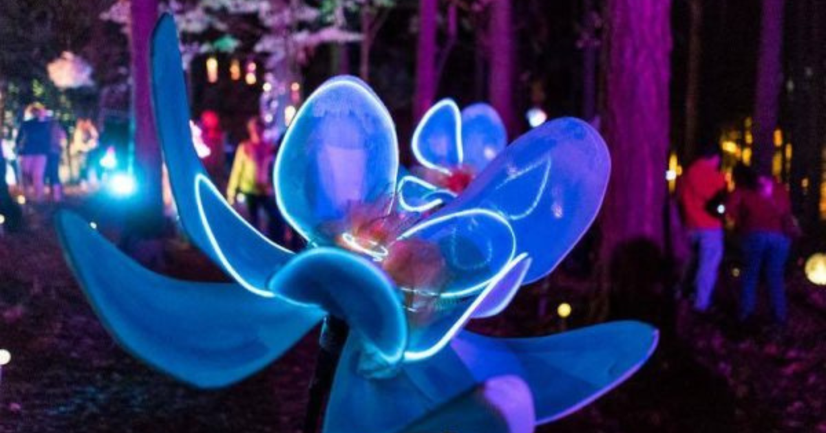 Check Out The Arts-A-Glow Festival Of Lights In Washington