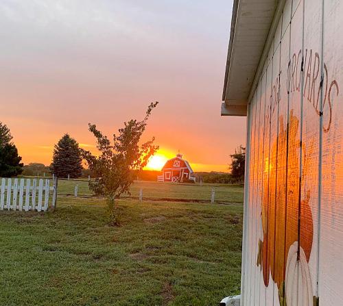 The Best Places To Go Apple Picking In Missouri On A Fall Day