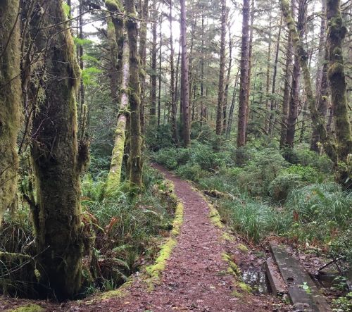 Reach Hobbit Beach In Florence, Oregon On This Magical Trail