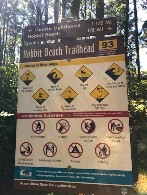 Reach Hobbit Beach In Florence, Oregon On This Magical Trail
