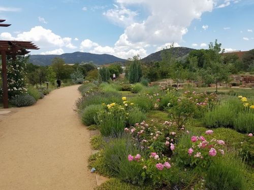 Santa Fe Botanical Garden Is Best Nature Spot In New Mexico