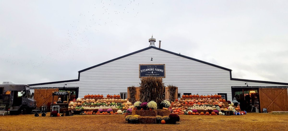 Junkstock's Fall Flea Market In Waterloo, Nebraska Is A Must-Visit
