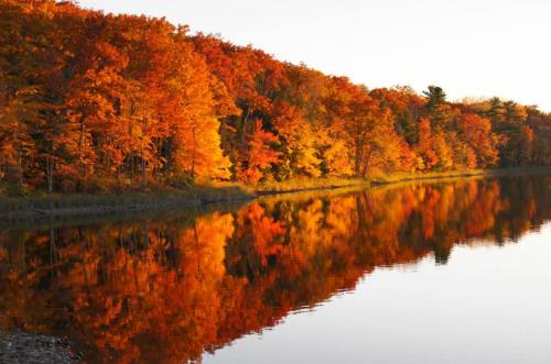 This Fall Foliage Drive In Wisconsin Shows So Many Colors