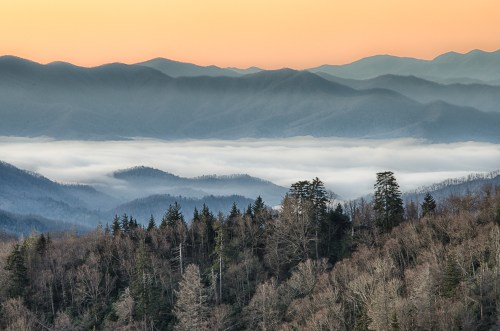 Sunrise Newfound Gap: Tennessee's Most Spectacular Lookout