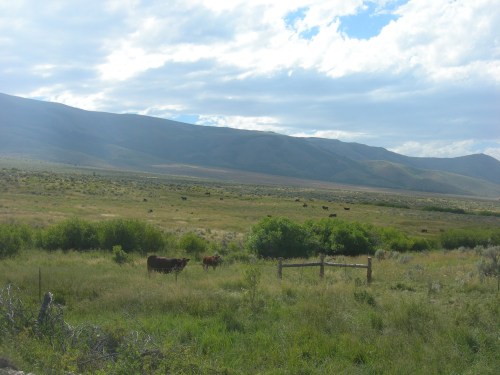 Things To Do In Oakley, Idaho: A Quaint, Historic, Small Town Gem