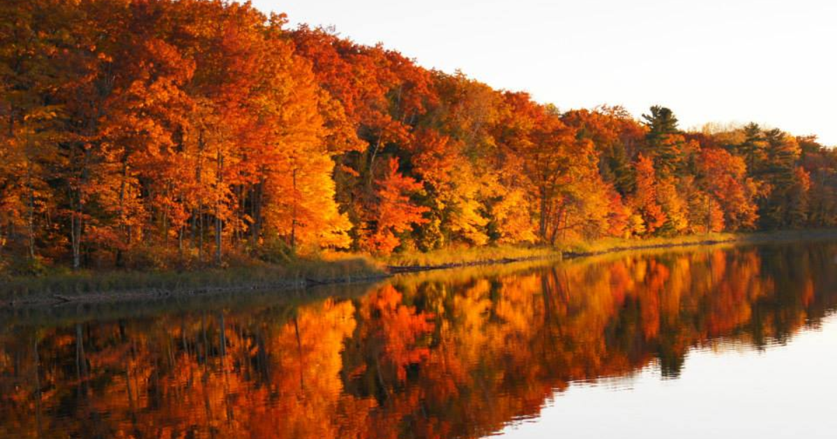Take A 1.5-Hour Drive Through Wisconsin To See This Year’s Beautiful ...