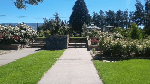 Rose Garden Reno: A Magical Place At Idlewild Park In Nevada