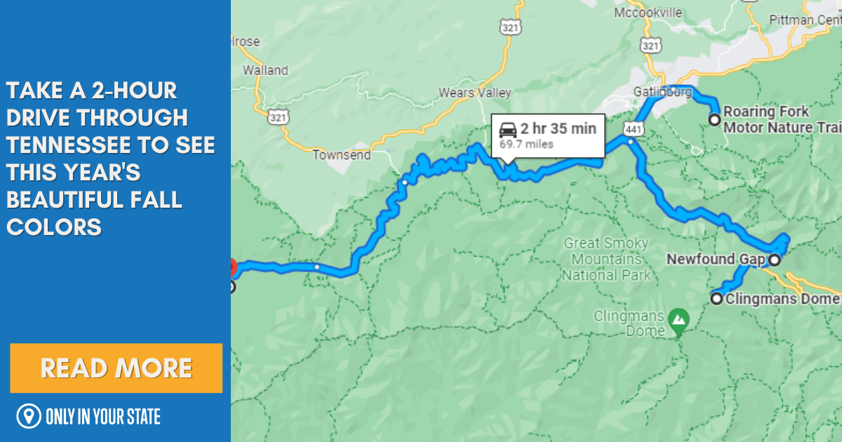 Fall Foliage Drive In Tennessee: An Epic Autum Road Trip