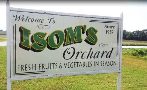 Apple Orchards In Alabama: 5 Perfect For The Fall