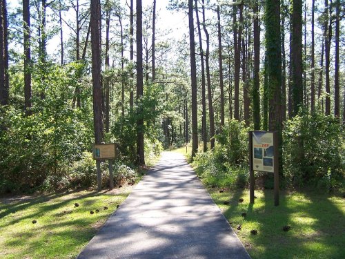 Tallest Chipley Waterfall: Falling Waters State Park In Florida