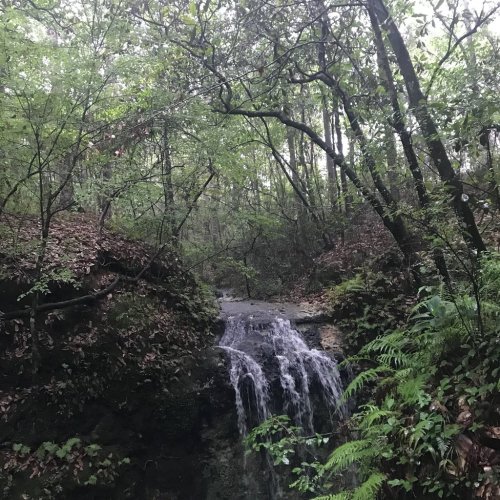 Tallest Chipley Waterfall: Falling Waters State Park In Florida