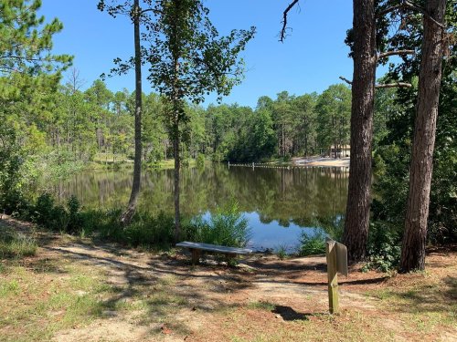 Tallest Chipley Waterfall: Falling Waters State Park In Florida