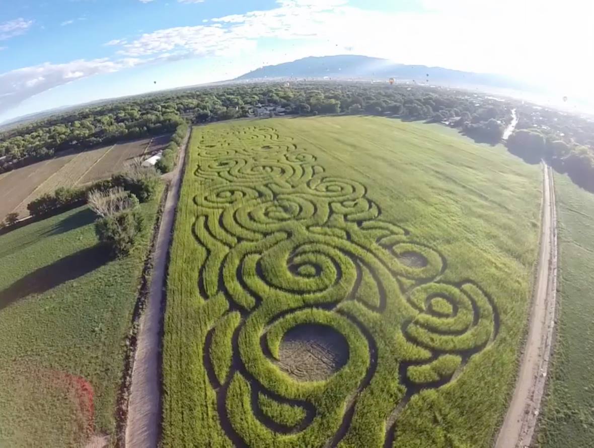 The Maize Maze Is The Best Corn Maze In New Mexico