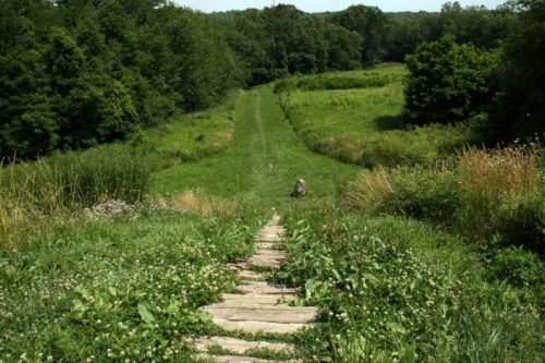 9 Ancient Ohio Earthworks You Won't Find Anywhere Else