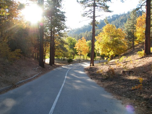 Take A Scenic Fall Foliage Drive In Southern California