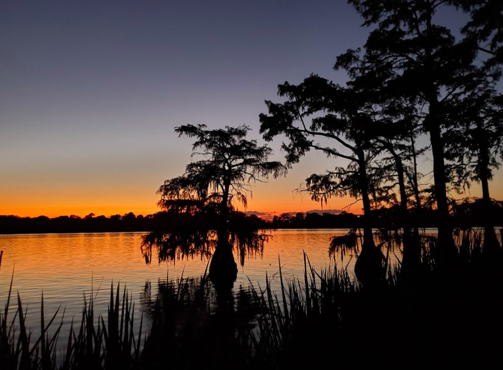 Sleep Under The Stars At One Of The Most Peaceful State Parks In Louisiana