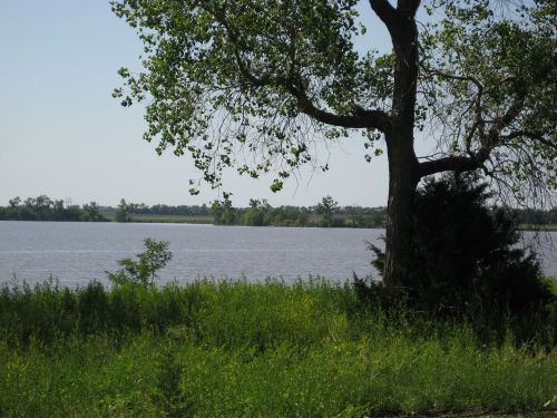 4 Legends Of Kansas Cryptids That Might Be Lurking Now