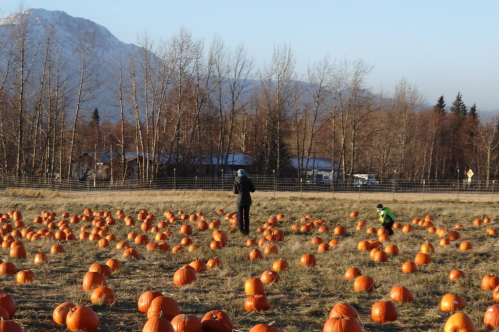 The Best Alaska Urban Legends, Myths & Folklore