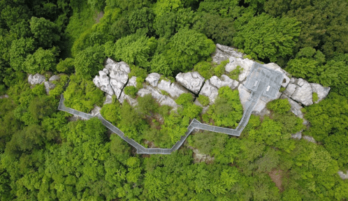 Experience Panoramic Views at Birch Knob Observation Tower