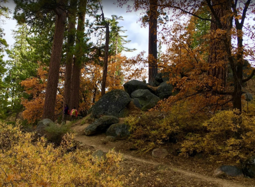 Places To See And Fun Things To Do In Fawnskin, SoCal