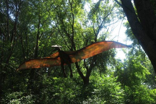 4 Legends Of Kansas Cryptids That Might Be Lurking Now