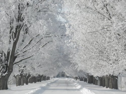 The Daly Mansion In Montana Gets All Decked Out For Christmas