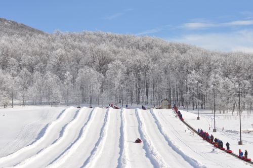 Canaan Valley Resort Has The Best Snow Tubing In West Virginia