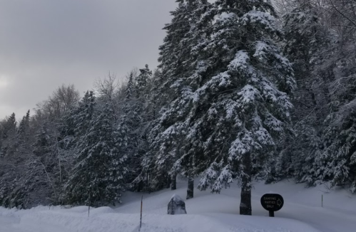 Aroostook State Park Is Magical During Winter In Maine