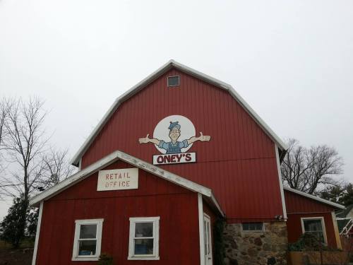Oney's Tree Farm In Woodstock, Illinois Is A Christmas Tree Farm