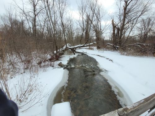 Nine Winter Hikes In Detroit You Won't Want To Miss