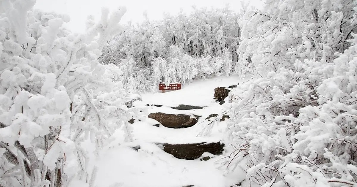 Go Snowshoeing In North Carolina At Elk Knob State Park