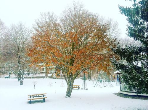 Ivoryton: One Of The Best Christmas Towns In Connecticut