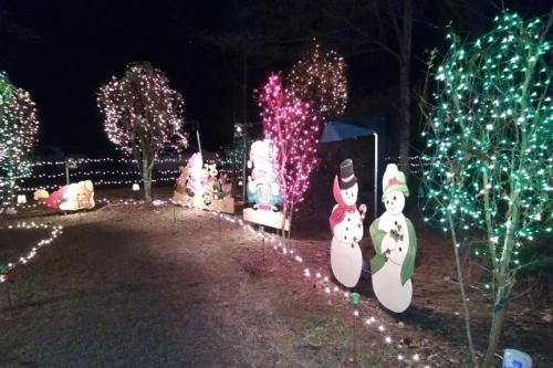 Lewis Lights In Mississippi: An Annual Favorite Holiday Display