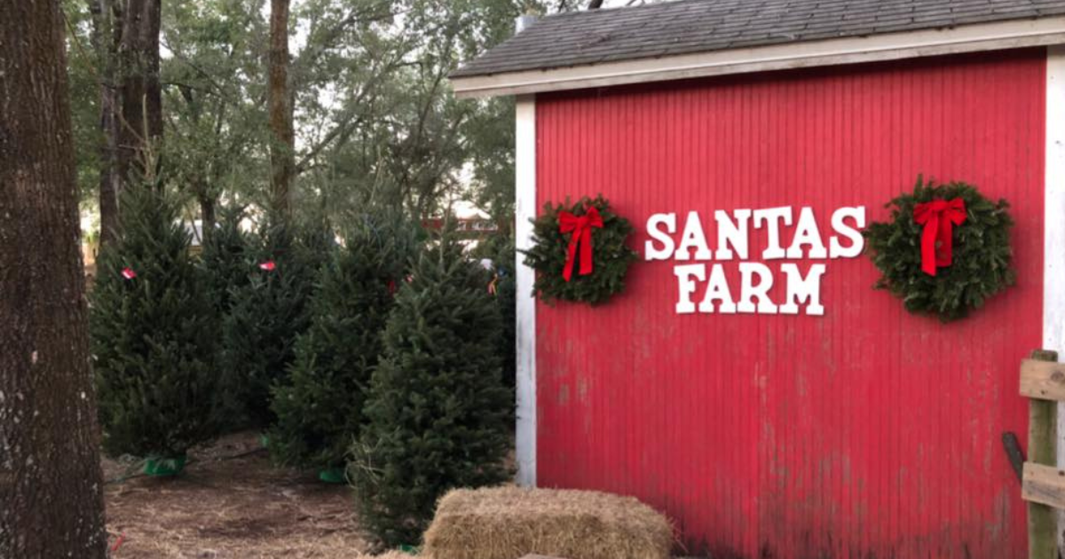 Santa's Farm: One Of The Best Christmas Traditions In Florida