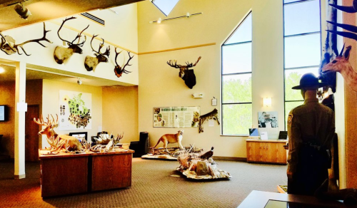 Dunseith, North Dakota Is One Of The State's Best Towns