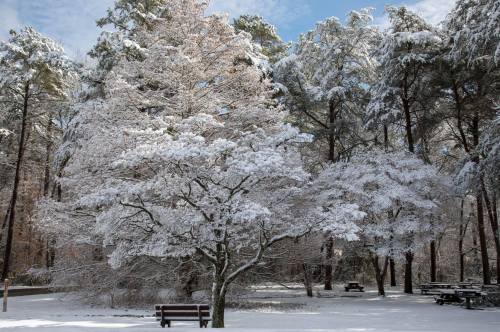 Here Are Some Quiet Trails Perfect For Peaceful Winter Hikes In Delaware