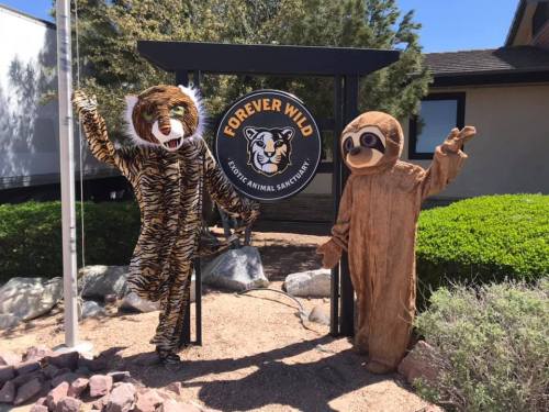 Visit Forever Wild Exotic Animal Sanctuary In Southern California