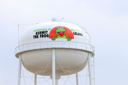 Visit the Birthplace of Kermit the Frog Museum in Mississippi