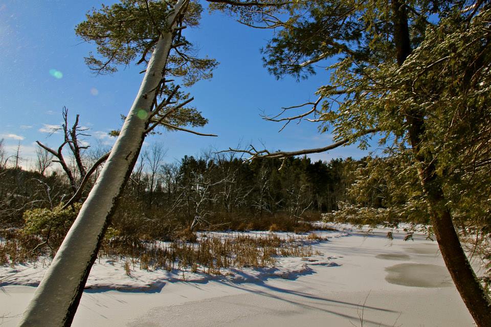 Experience Astonishing Winter Beauty At The White Memorial Conservation ...