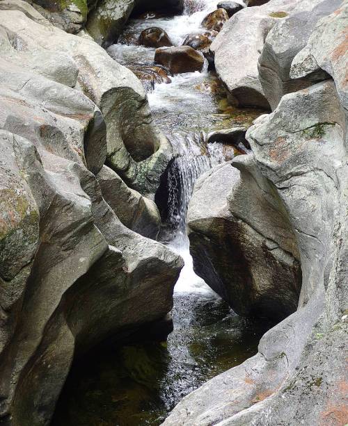 Sculptured Rocks Natural Area In NH Is An Emerald Canyon