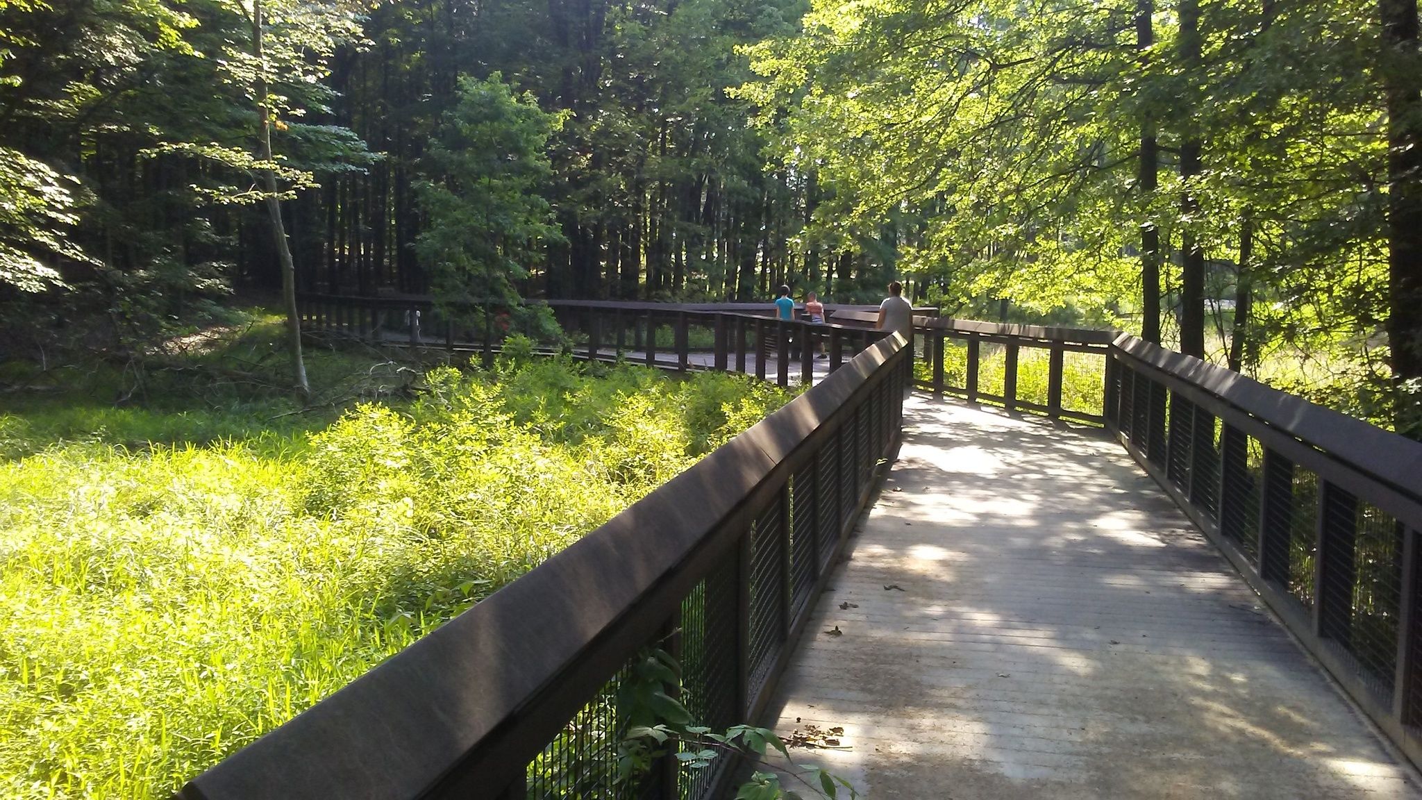 8 Most Beautiful Short And Sweet Hikes In The Cleveland Metroparks