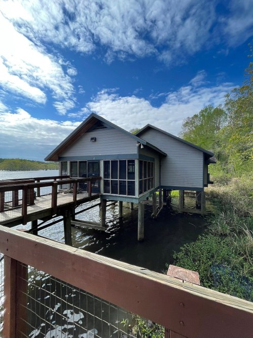 The Lake Chicot Loop Trail In Louisiana Is A Pretty Spring Hike