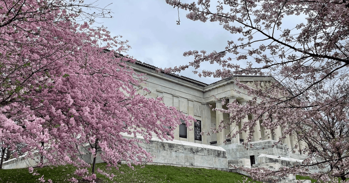 The Cherry Blossom Festival In Buffalo Is The Best Spring Event