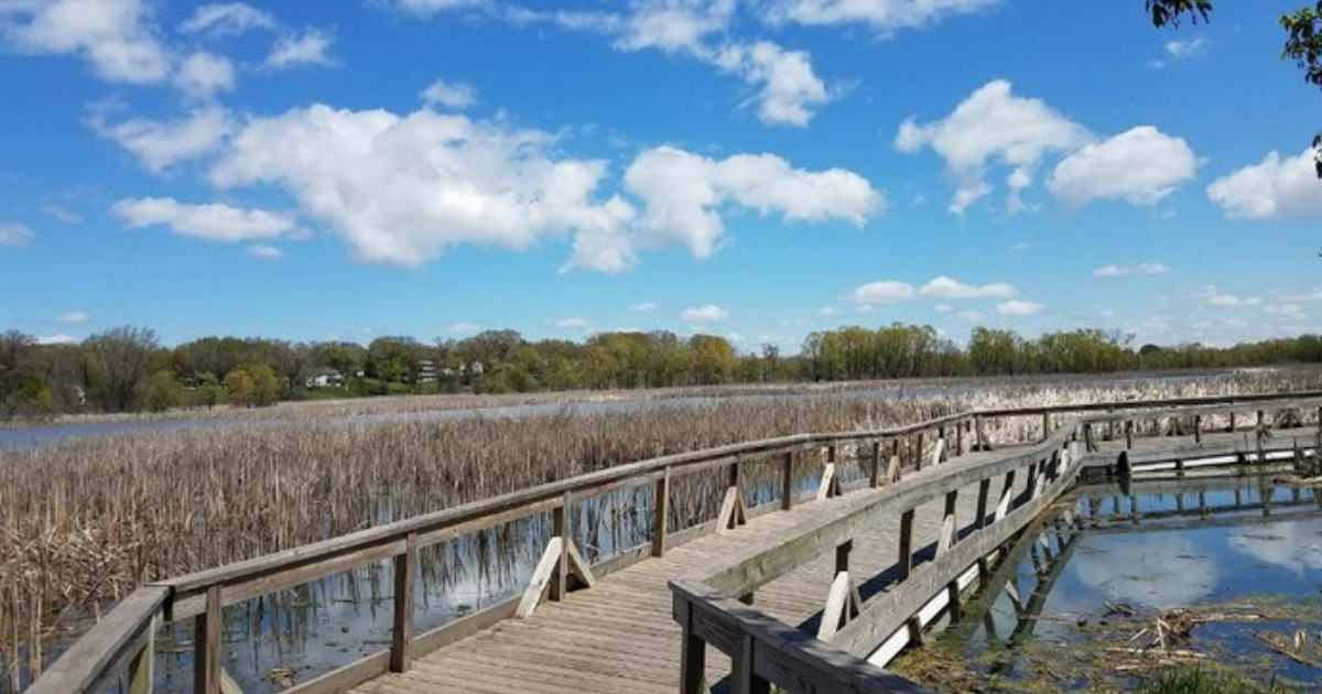 Window On The Waterfront Might Just Be Michigan’s Prettiest Springtime Park