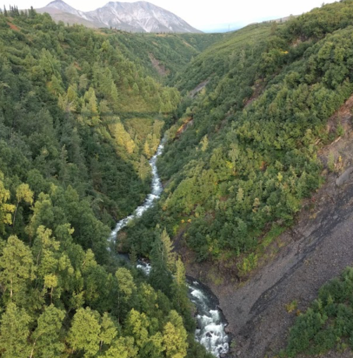 Hurricane Gulch Bridge In Alaska One Of The Tallest In The State