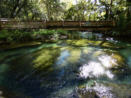6 Crystal Clear Rivers In Florida To Float Your Way Down