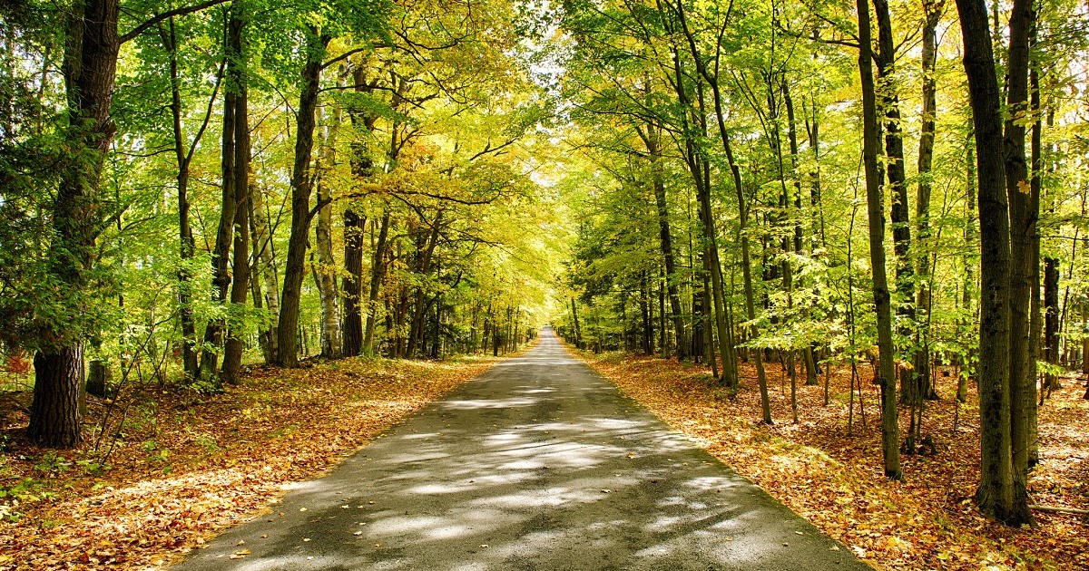 Top 12 Scenic Drives in Wisconsin for Breathtaking Views