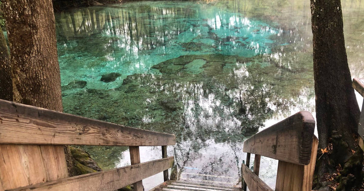 6 Crystal Clear Blue Lazy Rivers In Florida You’ll Want To Spend The ...